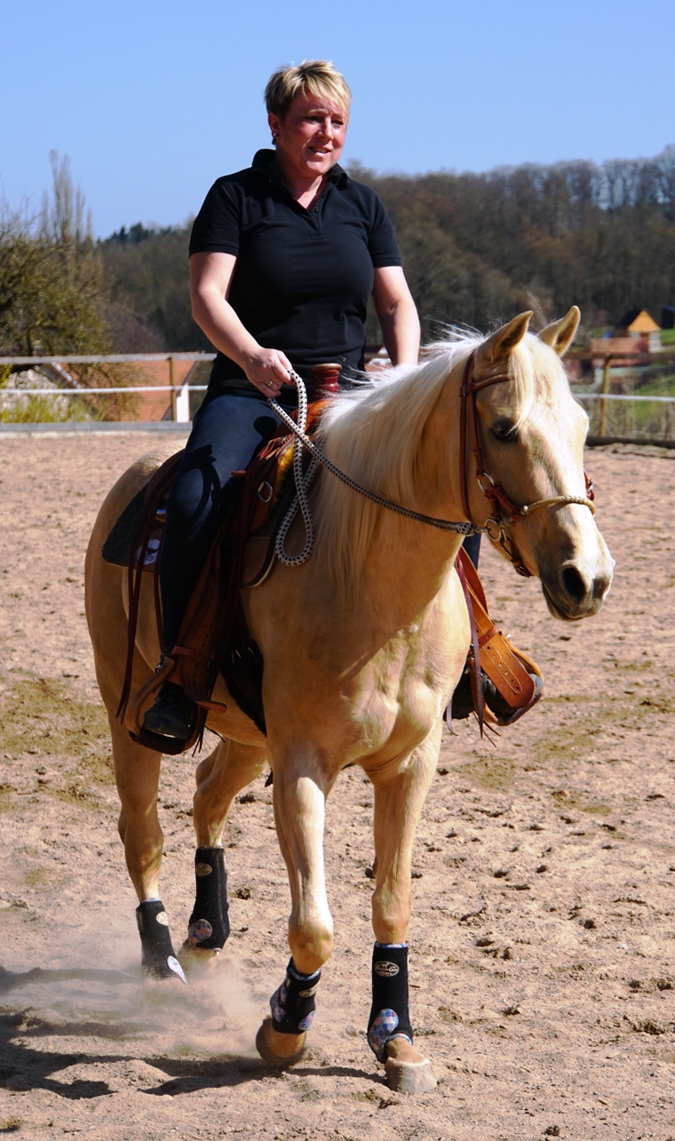 Reiten 2 – Aufbaukurs I - Horsemanship Tanja Buck
