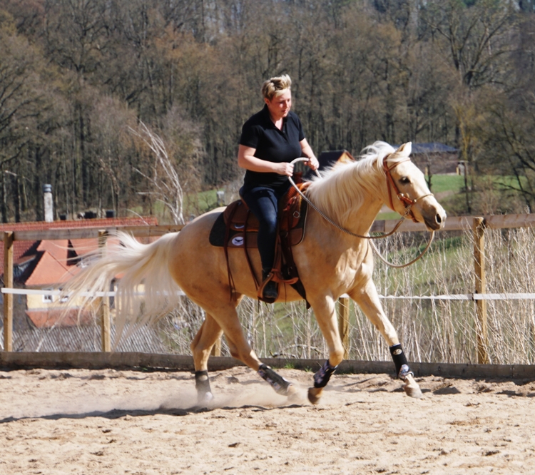 Reiten 3 – Aufbaukurs II - Horsemanship Tanja Buck